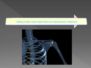 Shoulder complex | PPT