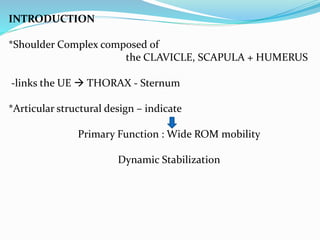 Shoulder Complex(1).pptx
