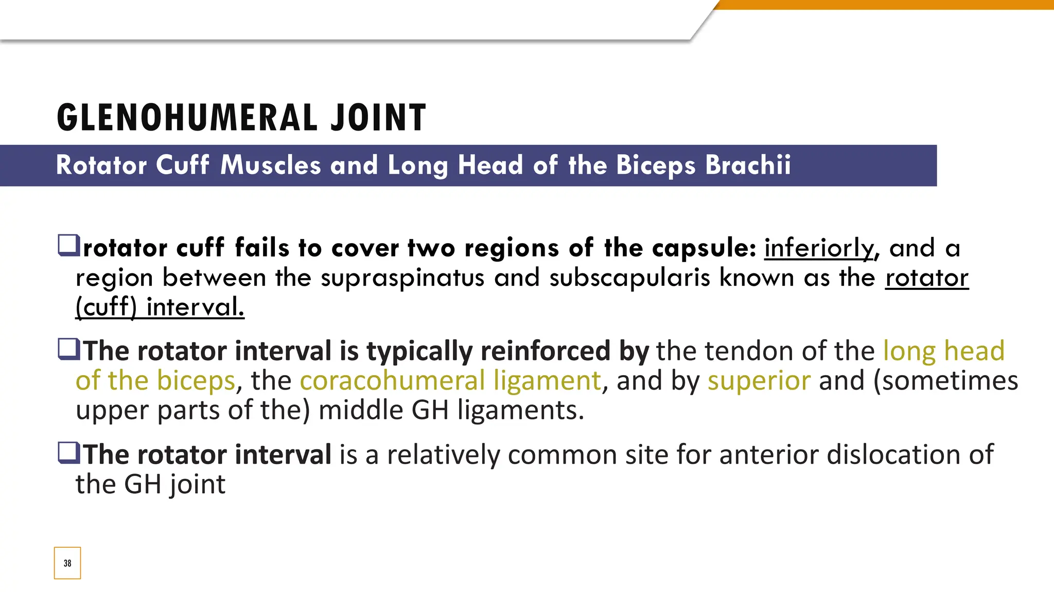 Shoulder Complex anatomy for medical .pdf