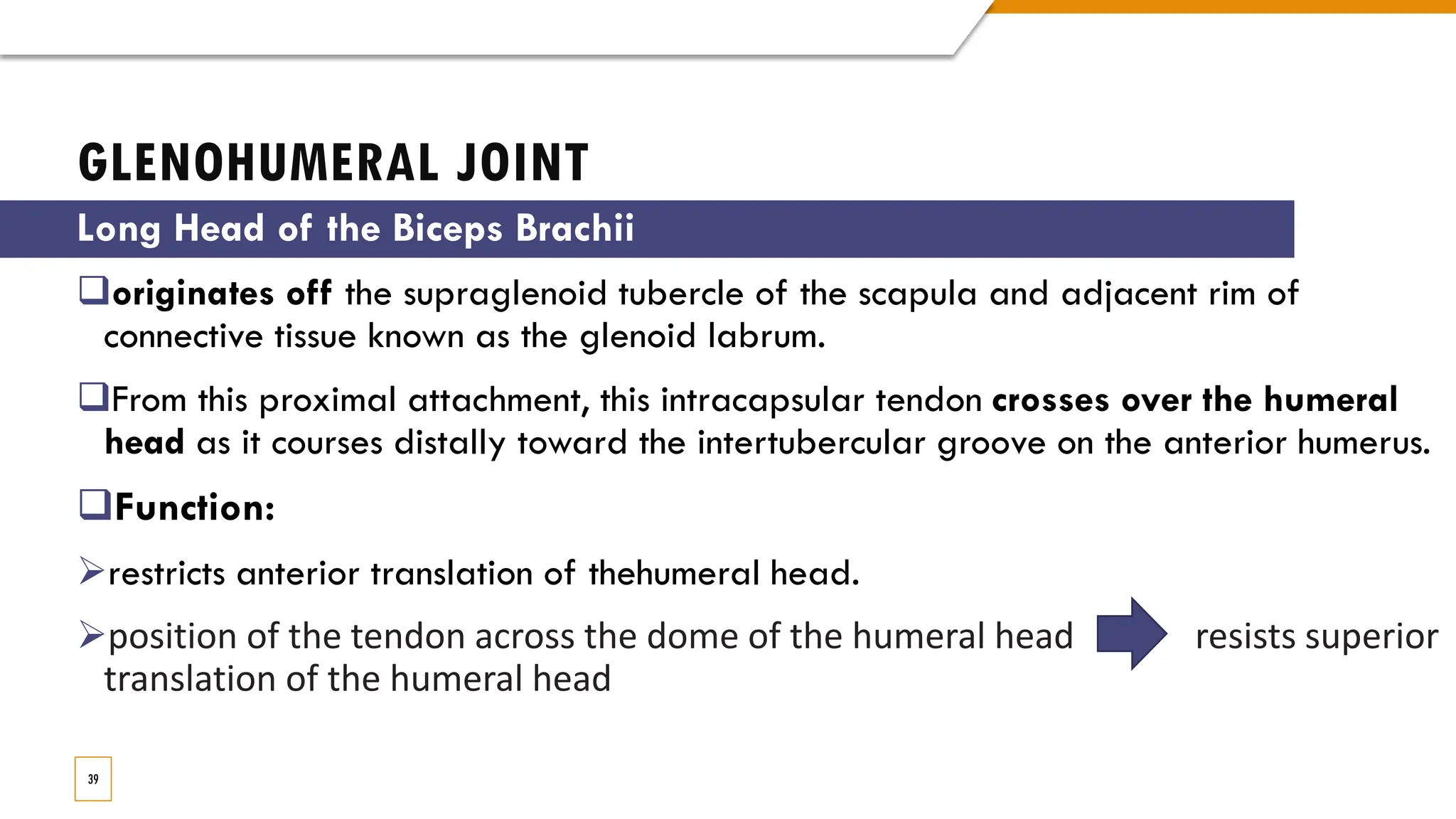 Shoulder Complex anatomy for medical .pdf