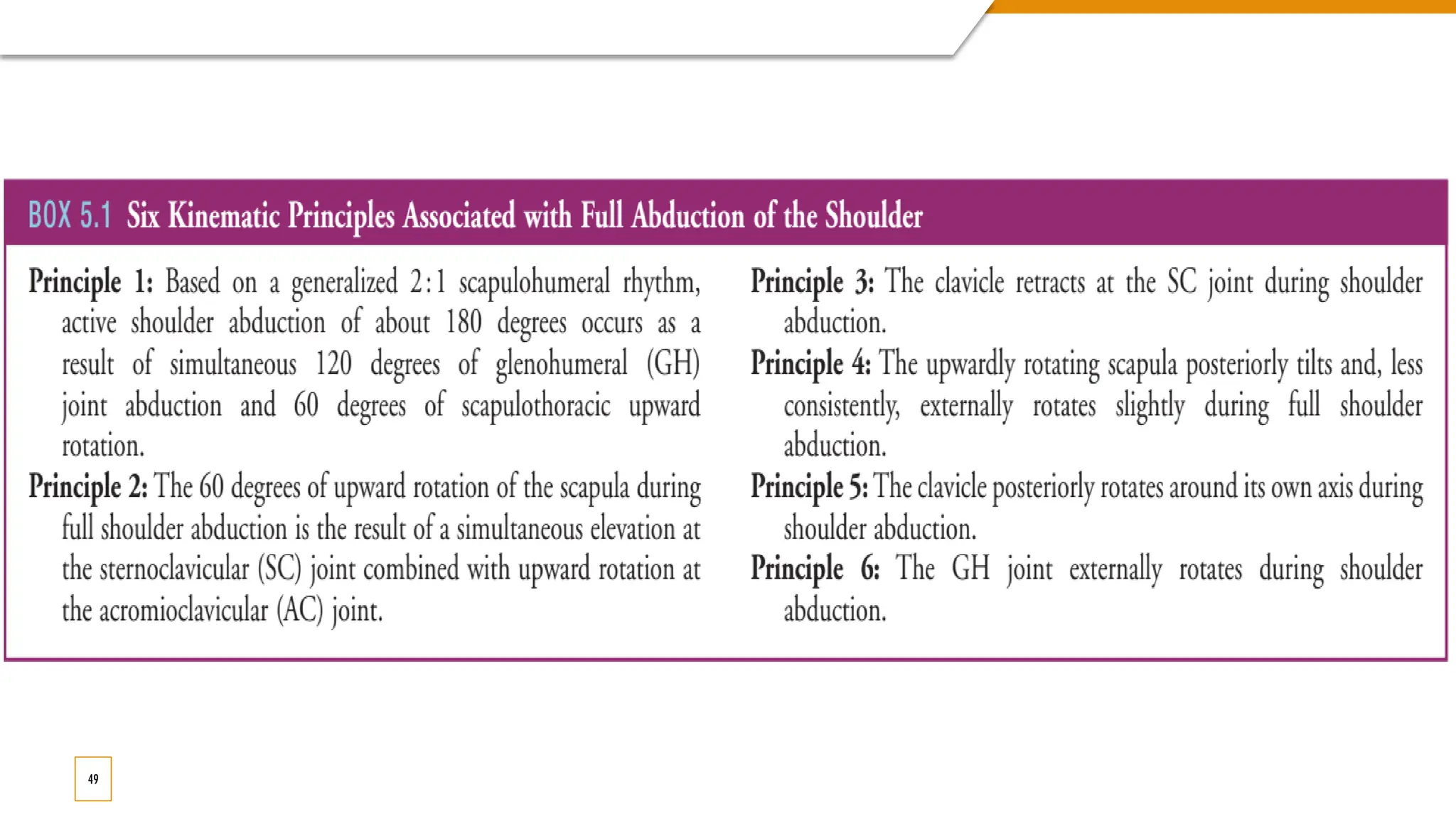 Shoulder Complex anatomy for medical .pdf
