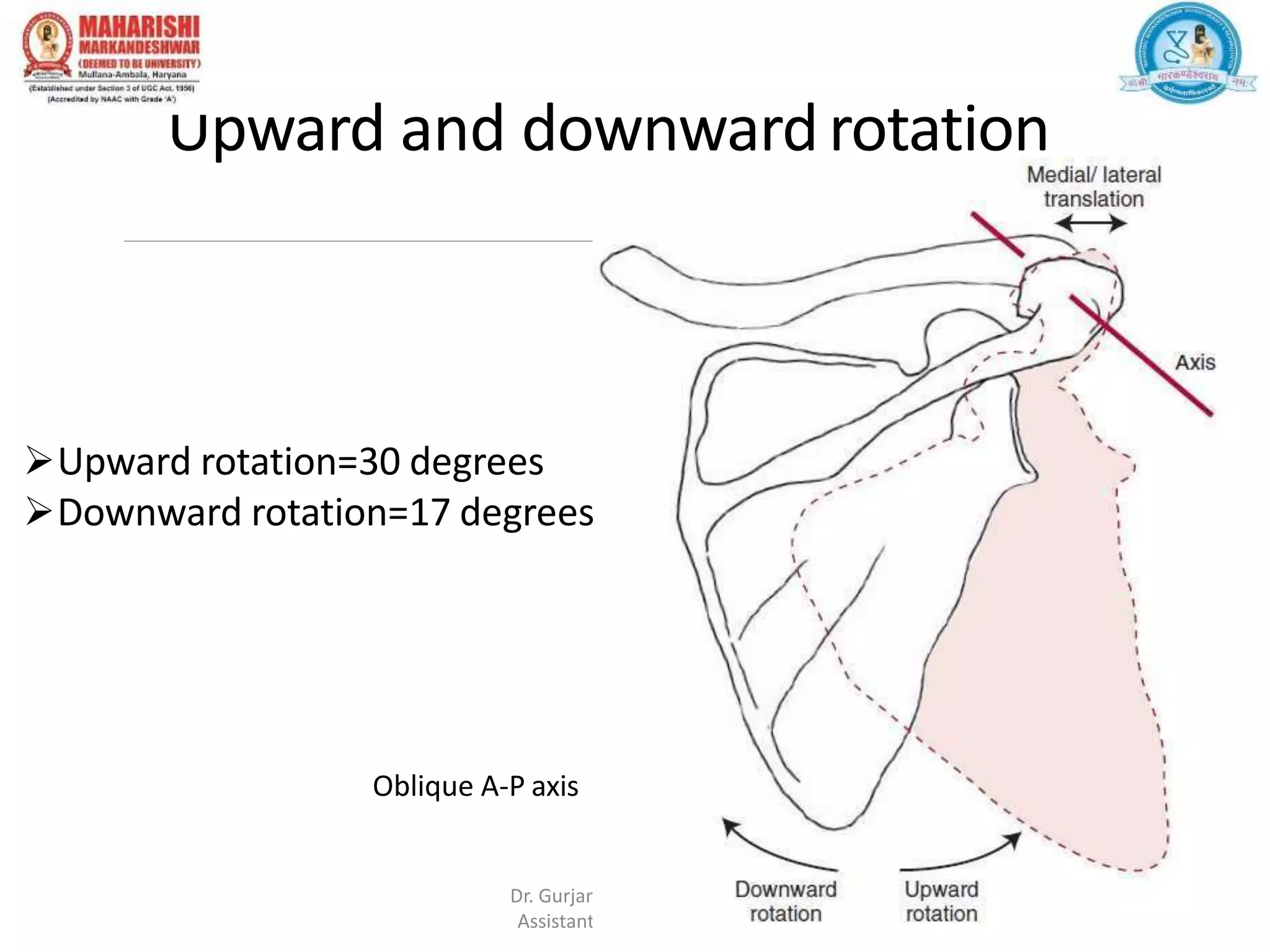 Biomechanics of Shoulder Complex- Dr Gurjant Singh (PT) | PPTX