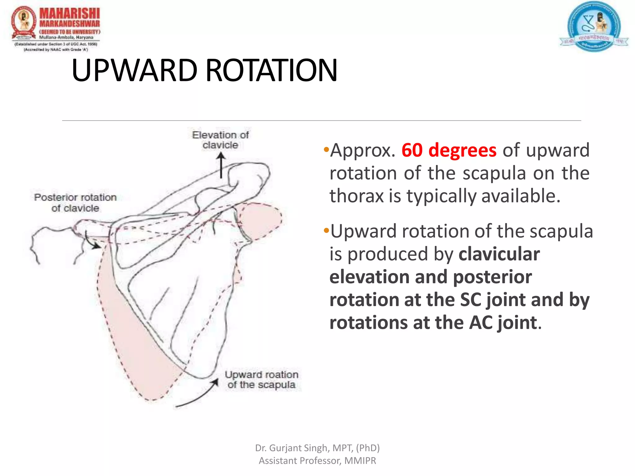 Biomechanics of Shoulder Complex- Dr Gurjant Singh (PT) | PPTX