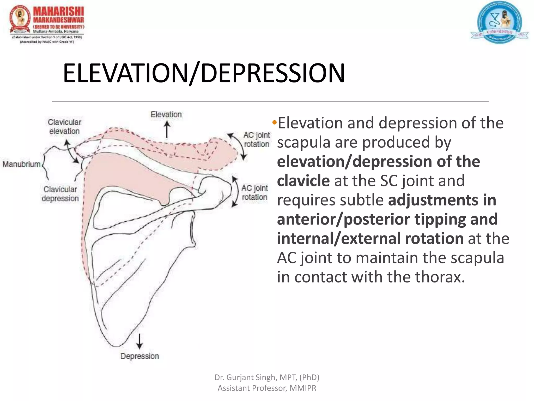 Biomechanics of Shoulder Complex- Dr Gurjant Singh (PT) | PPTX