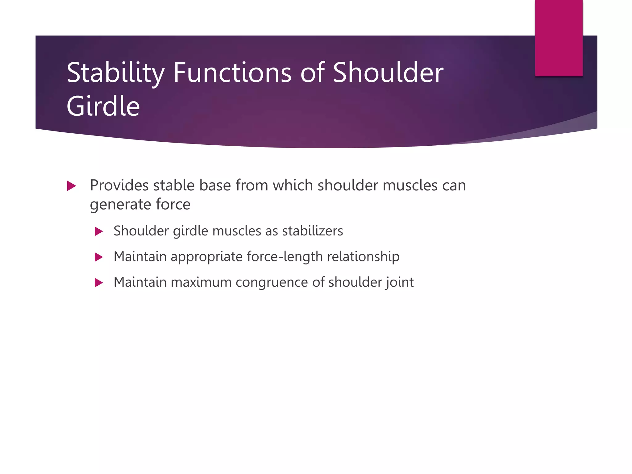Shoulder Complex PPT.ppt
