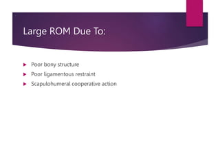 Shoulder Complex PPT.ppt