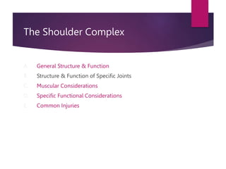 Shoulder Complex PPT.ppt