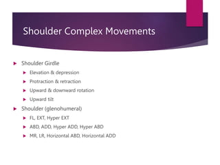 Shoulder Complex PPT.ppt