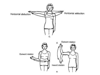 Shoulder Complex PPT.ppt