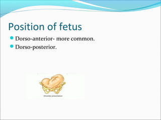 Shoulder cord_presentation | PPT