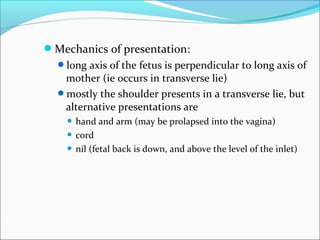 Shoulder cord_presentation | PPT