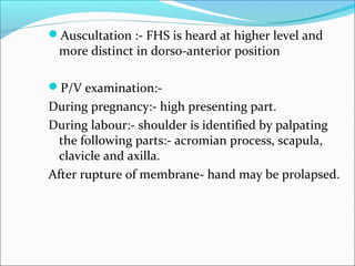 Shoulder cord_presentation | PPT