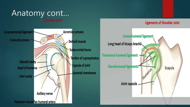 SHOULDER DISLOCATION-1.pptx