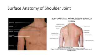 Shoulder dislocation | PPTX