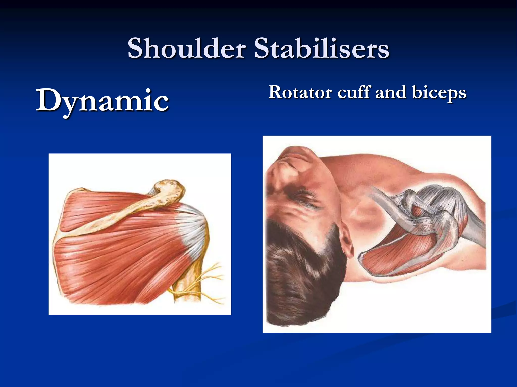 Shoulder_Dislocation.ppt