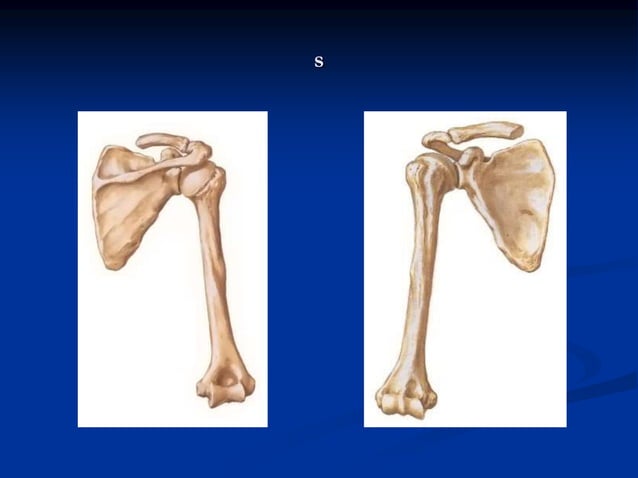 Shoulder_Dislocation.ppt