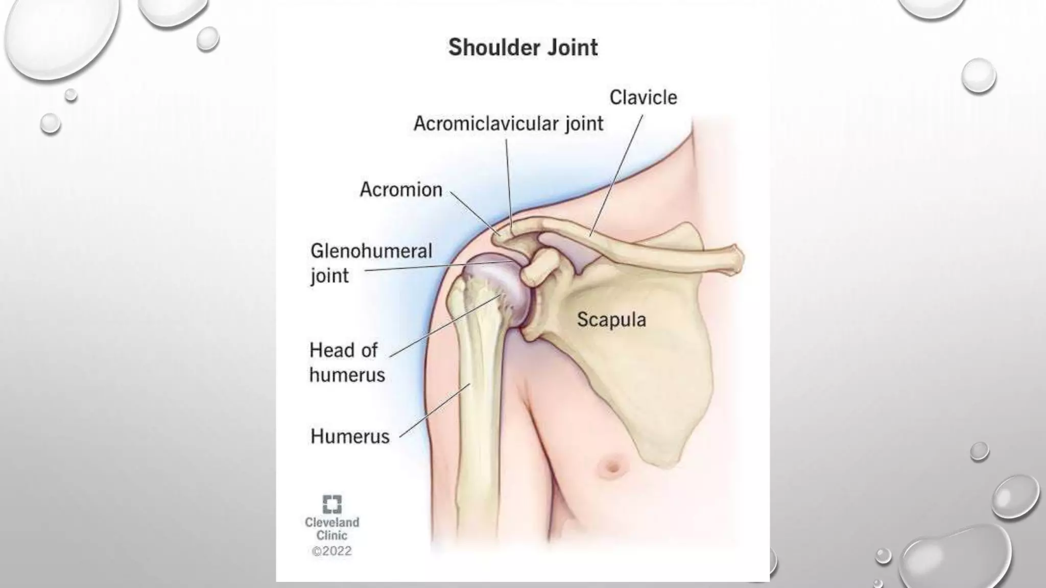 Shoulder dislocation.pptx