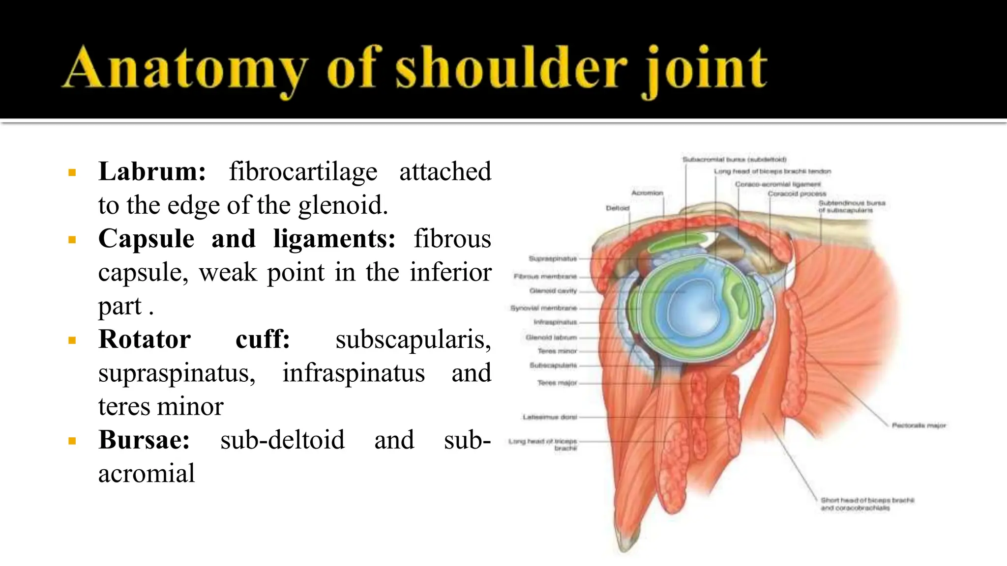 SHOULDER DISLOCATION - Types, Clinical Features | PPTX