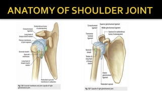 SHOULDER DISLOCATION - Types, Clinical Features | PPTX