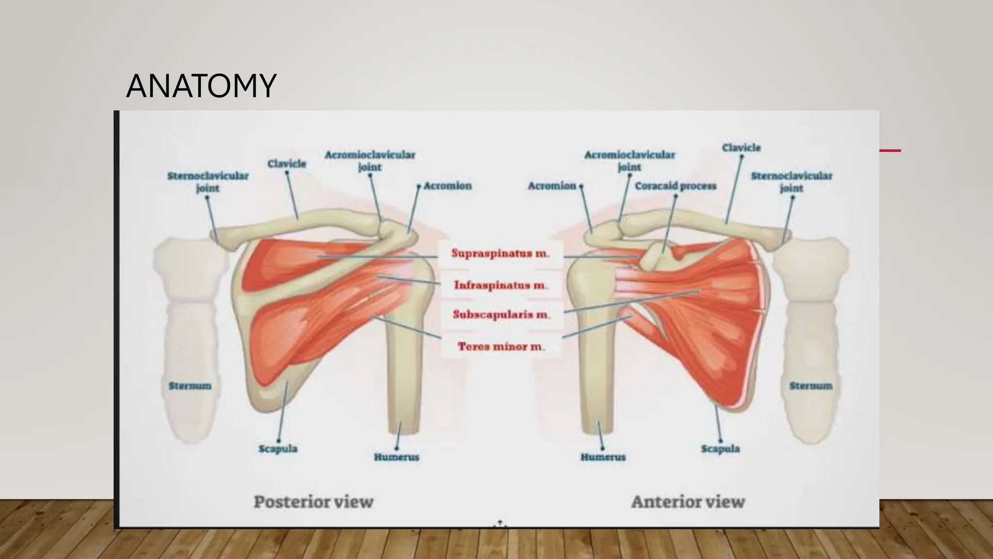 shoulder dislocation and surgical management pptx | PPTX