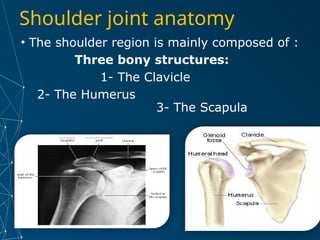 shoulder dislocation orthopaedic alqadih.pptx