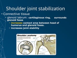 shoulder dislocation orthopaedic alqadih.pptx