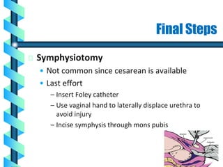 Shoulder dystocia.pdf