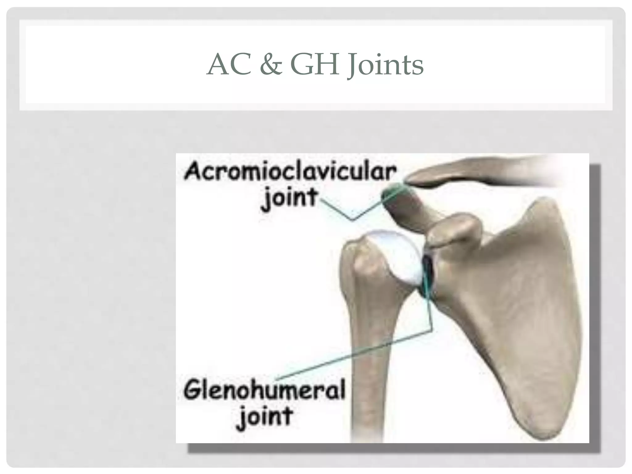 Shoulder joints & Muscles | PPTX
