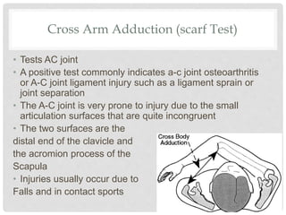 Shoulder joints & Muscles | PPTX
