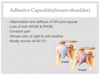 Shoulder joints & Muscles | PPTX