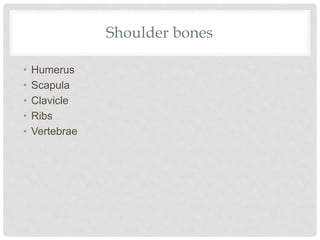 Shoulder Joint Muscles Blank