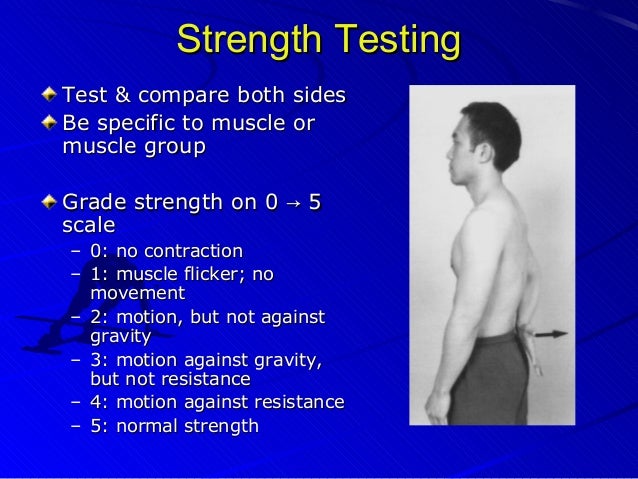 Shoulder exam studentsandresidents