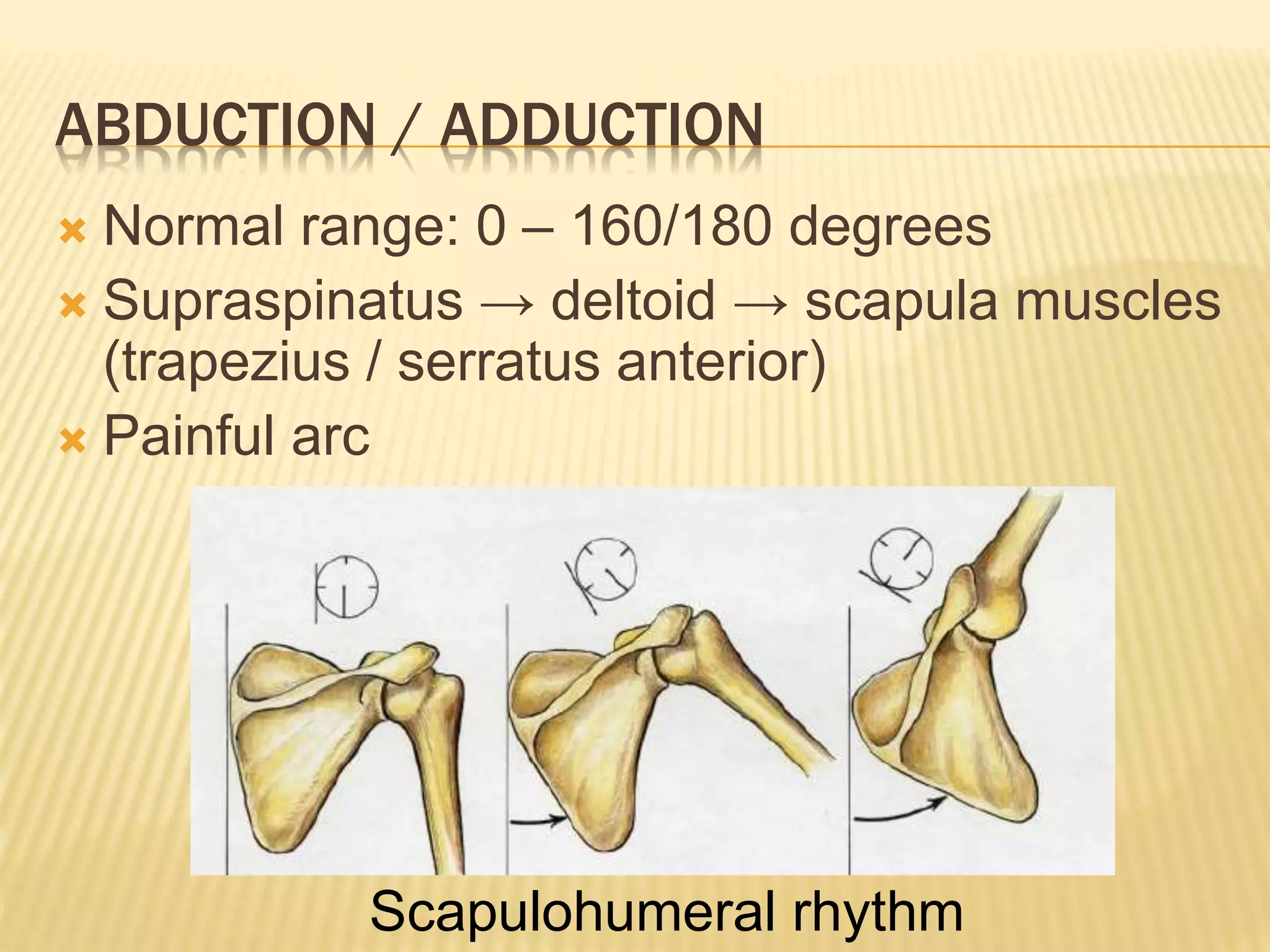 Shoulder examination | PPTX