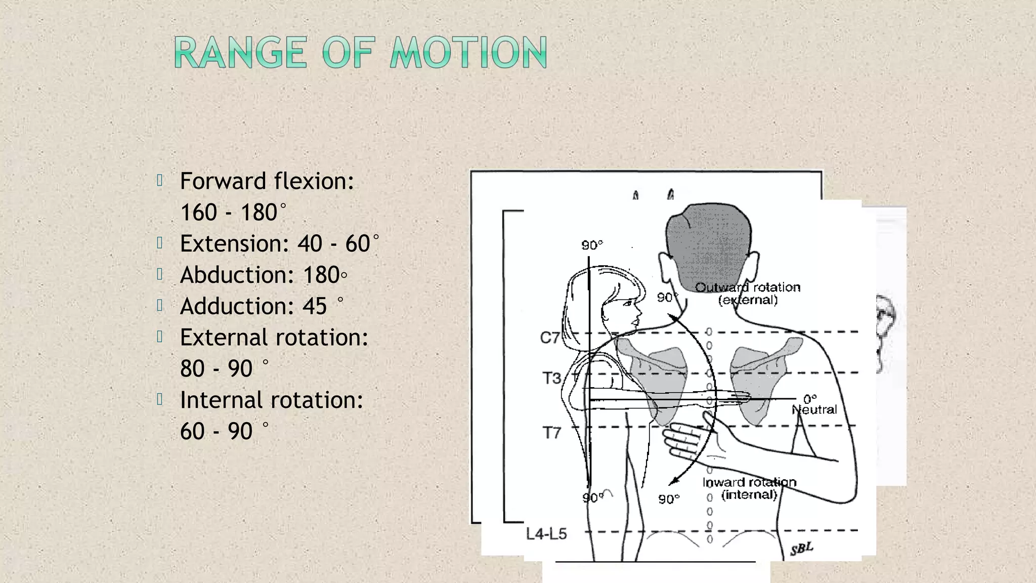 Shoulder examination | PPT