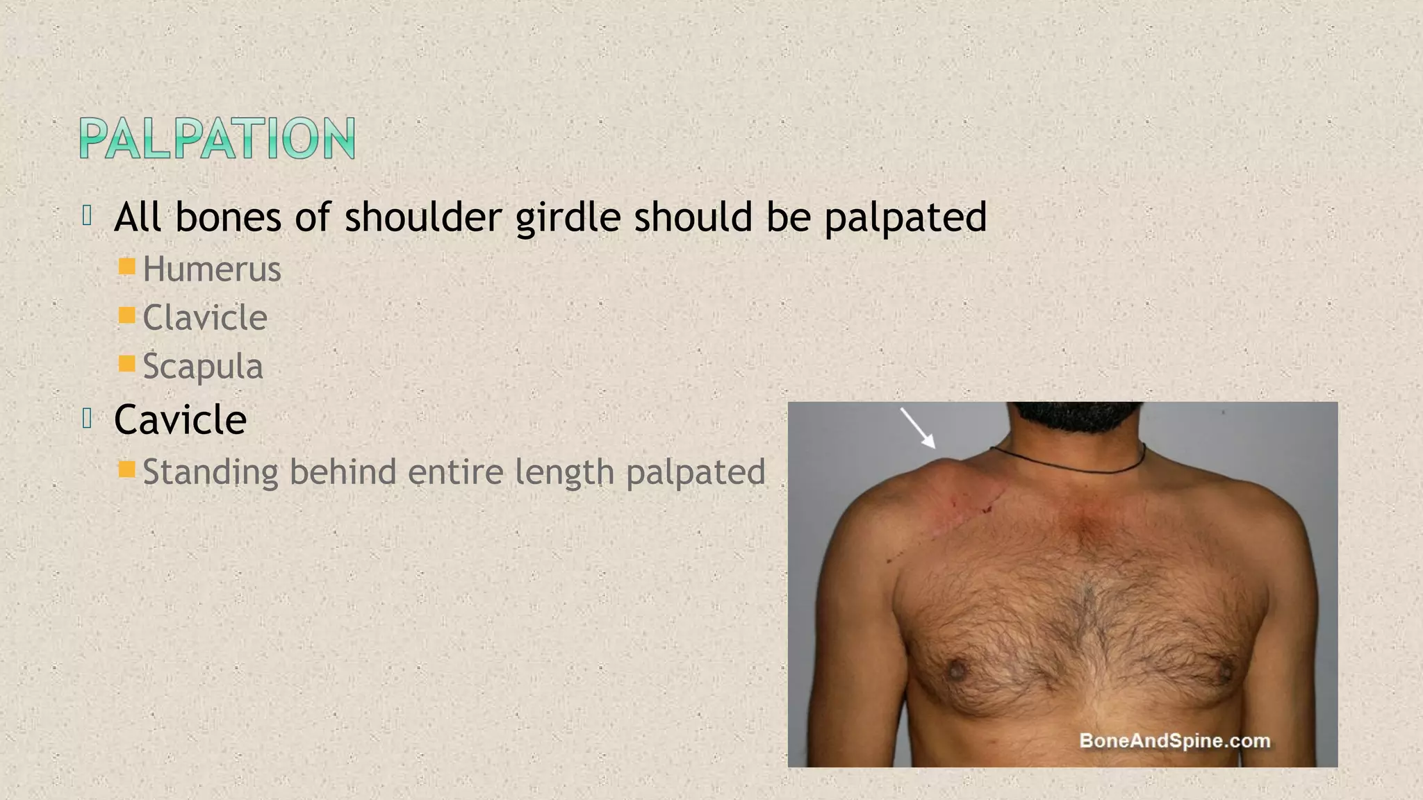 Shoulder examination | PPT