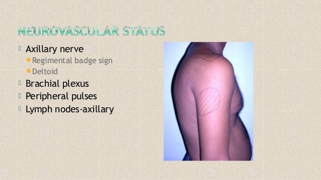 Shoulder examination