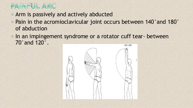 Shoulder Examination