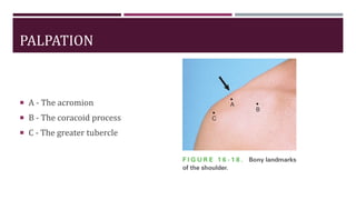 Shoulder Examination.pdf