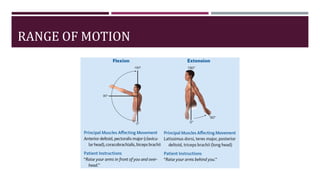 Shoulder Examination.pdf