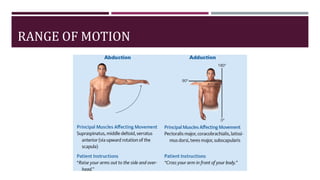 Shoulder Examination.pdf