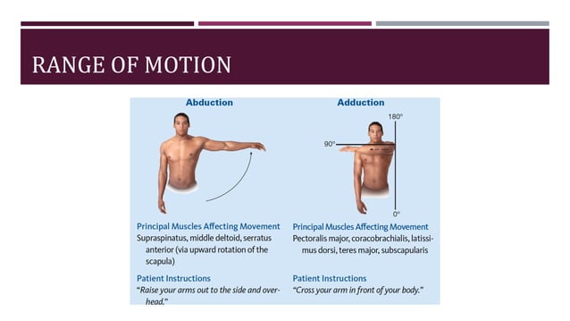 Shoulder Examination.pdf