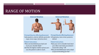 Shoulder Examination.pdf