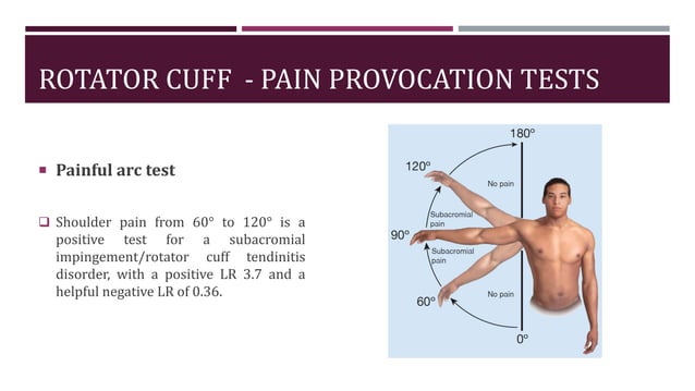 Shoulder Examination.pdf