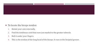 Shoulder Examination.pdf