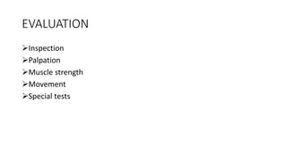 Shoulder examination | PPTX