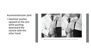 Shoulder examination | PPTX