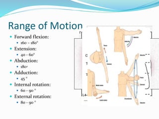 Shoulder examination ppt | PPTX