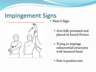 Shoulder examination ppt | PPTX
