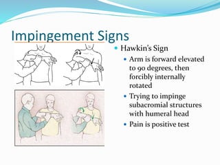 Shoulder examination ppt | PPTX