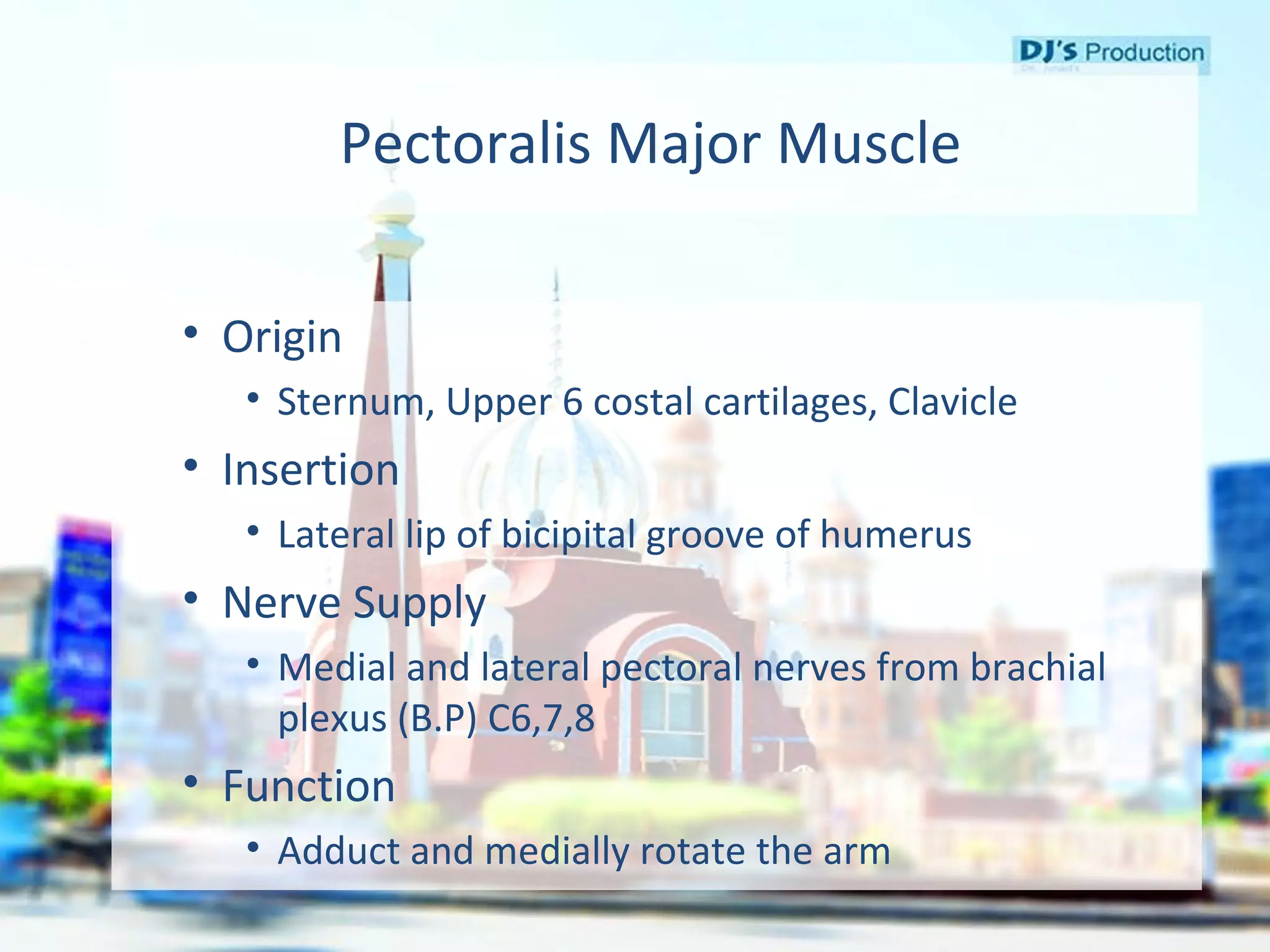 Shoulder girdle and brachial plexus anatomy | PPT